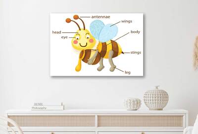 Bee Body Parts Vector Illustration Poster Ready to Hang | eBay Australia