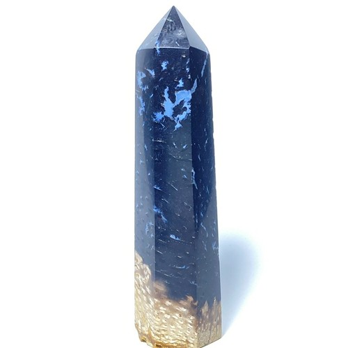 90g Palm Tree Petrified Wood Pebble Natural Palmoxylon Mineral ...