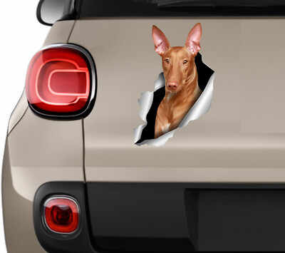 Pharaoh Hound Dog stickers Hound car sticker Car sticker Pharaoh Hound ...