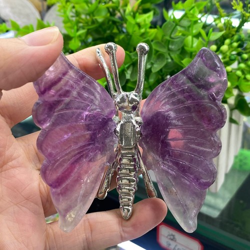 Natural Crystal Fluorite Butterfly Wings Healing Statue Decor + Stand ...