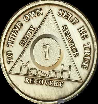 Alcoholics Anonymous AA 1 Month 30 Days Chip Medallion Medal Token ...