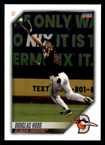 Douglas Hodo 2022 Choice Delmarva Shorebirds #11 Delmarva Shorebirds | eBay
