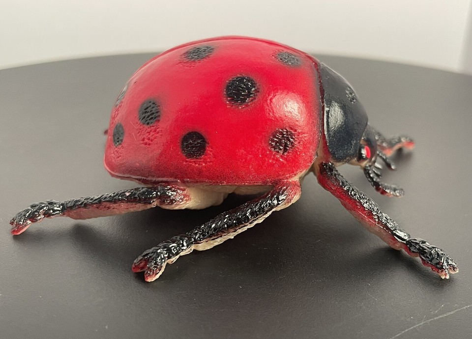 Giant Soft Plastic Bug Homeschooling Toy LADYBUG 4” | eBay