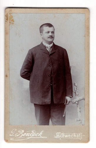 CIRCA 1880s CDV G. BENEDEK HANDSOME MAN IN SUIT WITH MUSTACHE SCHWECHAT ...