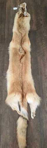 Tanned Eastern Red coyote pelt. Wild Country Fur Cabin Craft Hide. Nice ...