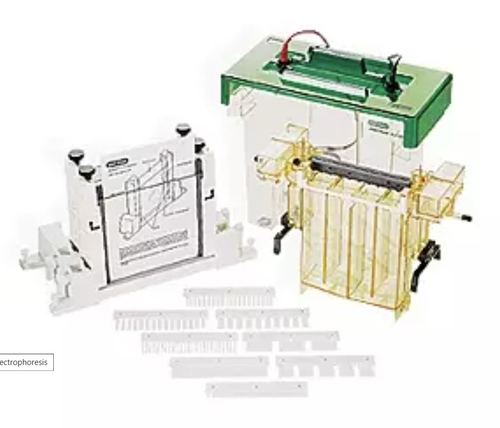 Two Bio-Rad PROTEAN II xi Gel Electrophoresis Systems With Accessories ...