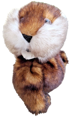 Caddyshack Dancing Gopher Sings "I'm Alright" Plush by Gemmy | eBay