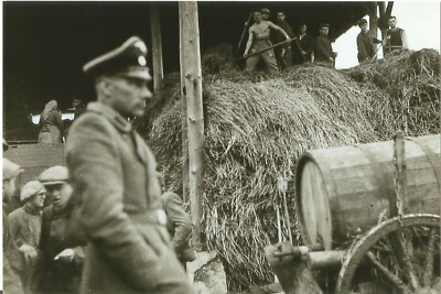 WW II - German Photo -- Jewish Forced Labor | eBay