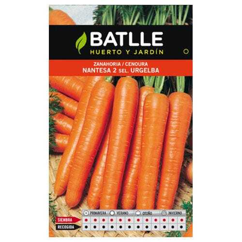 Semences horticoles de Batlle - Carotte Nantaise 2 Urgelba (10g) | eBay