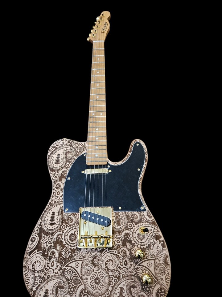 NEW UPSCALE 6 STRING CUSTOM TELE STYLE ELECTRIC PAISLEY GUITAR-ROASTED ...