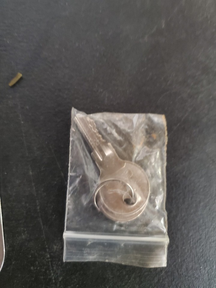 Generac Paddle Handle Lock 060069 | eBay