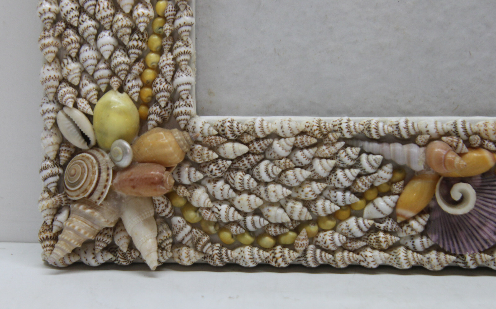 🐚 Beautiful Shells Seashell Photo Frame for 4x6 Picture, Glass Pane ...