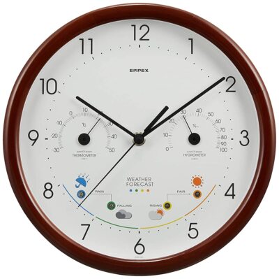 Empex German Temperature Het Domecometer Super EX Weather Movement Wall ...