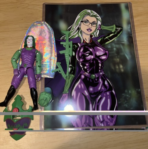 GI Joe Lady Jaye Toys Cobra Baroness The Joker Shield ARAH Batman DC ...