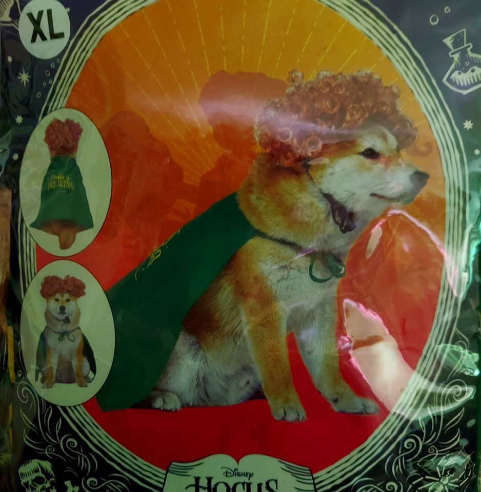 Disney Hocus Pocus Winifred Sanderson Dog Halloween Apparel - XLarge ...