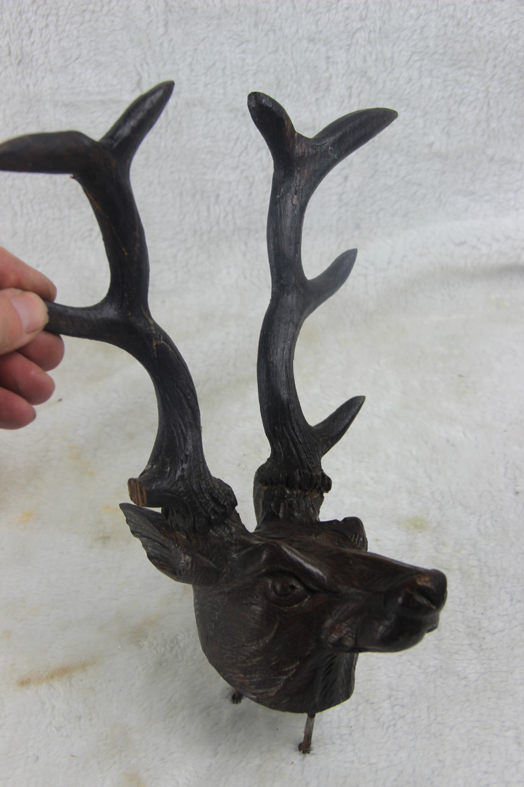 Huge German Black forest oak wood carved hunting trophy Deer dog head ...