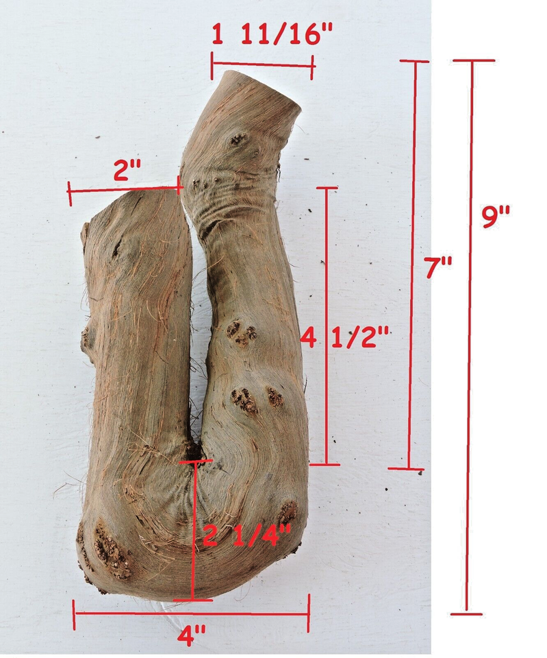 9" Grapevine Wood Stick Log Driftwood Natural Decor Crafts U Crooked 1 ...