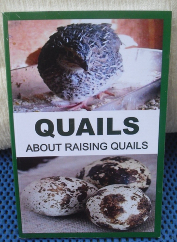 About Raising Quail Francis Okumu | eBay