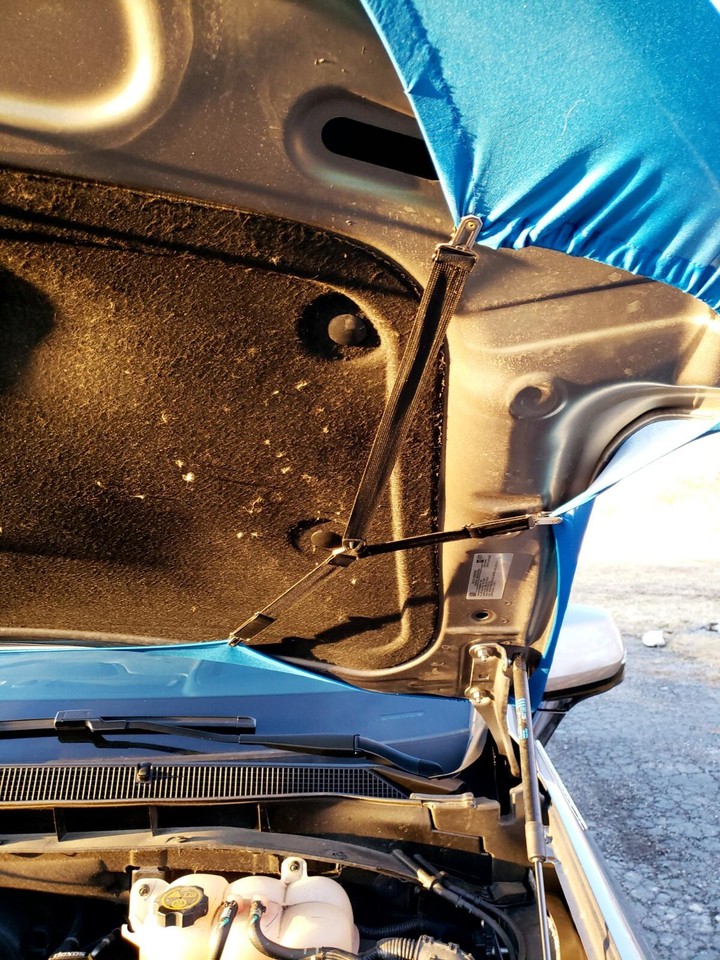 Chicago Cubs Custom Auto Hood Cover | Sports Flags | MLB Flags | Hood ...