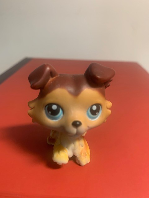 LITTLEST PET SHOP LPS #58 Sage Collie Paw Up Hasbro 2004 AUTH | eBay