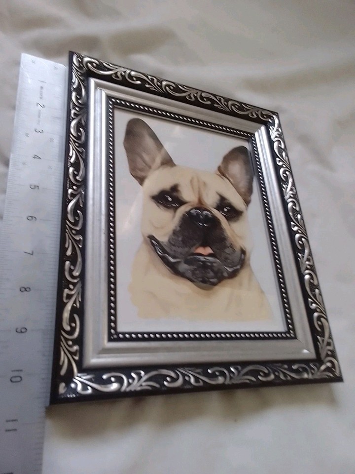 French Bulldog 'Chester' By C. Bennett Framed Watercolour Painting ...