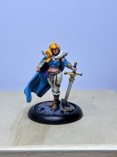 28mm Fighter Miniature Pathfinder 5 Ed Dungeons & Dragons Painted | eBay