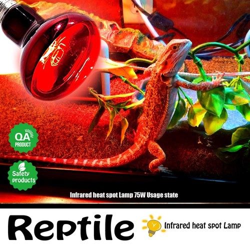 Infrared Heat Lamp Bulbs 75W 2 Pack,Red Basking Spot Light Bulb Reptile ...