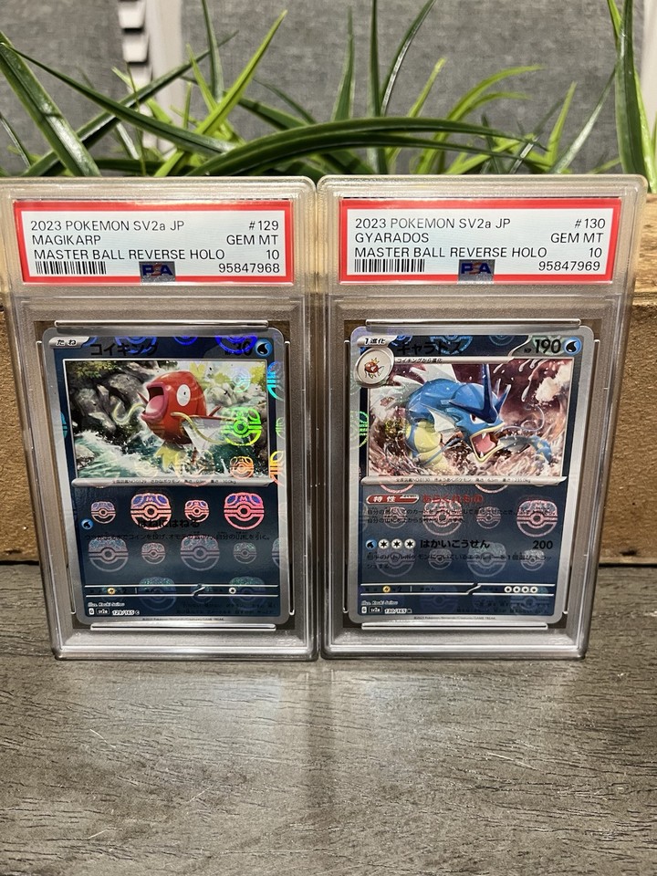 PSA 10 Magikarp Gyarados Master Ball Reverse Holo SEQ set Pokemon Card ...