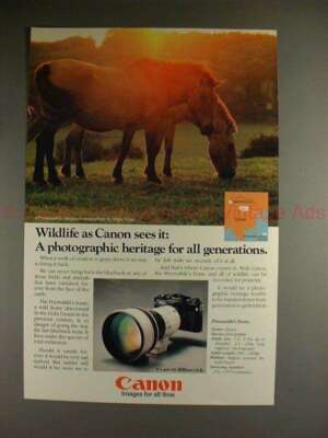 1981 Canon F-1 F1 Camera Ad, Przewalski's Horse - NICE! | eBay