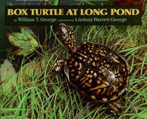 Box Turtle at Long Pond by George, William T. 9780688081843| eBay