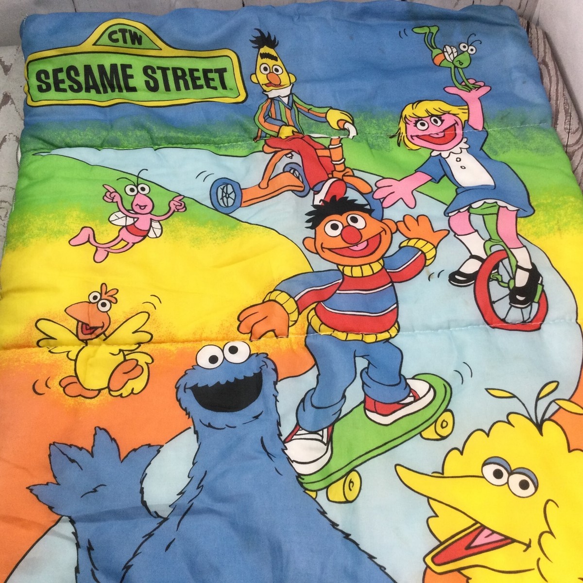 Sesame Street Bert And Ernie Sleep Sesame Street Kids Sleeping Bag