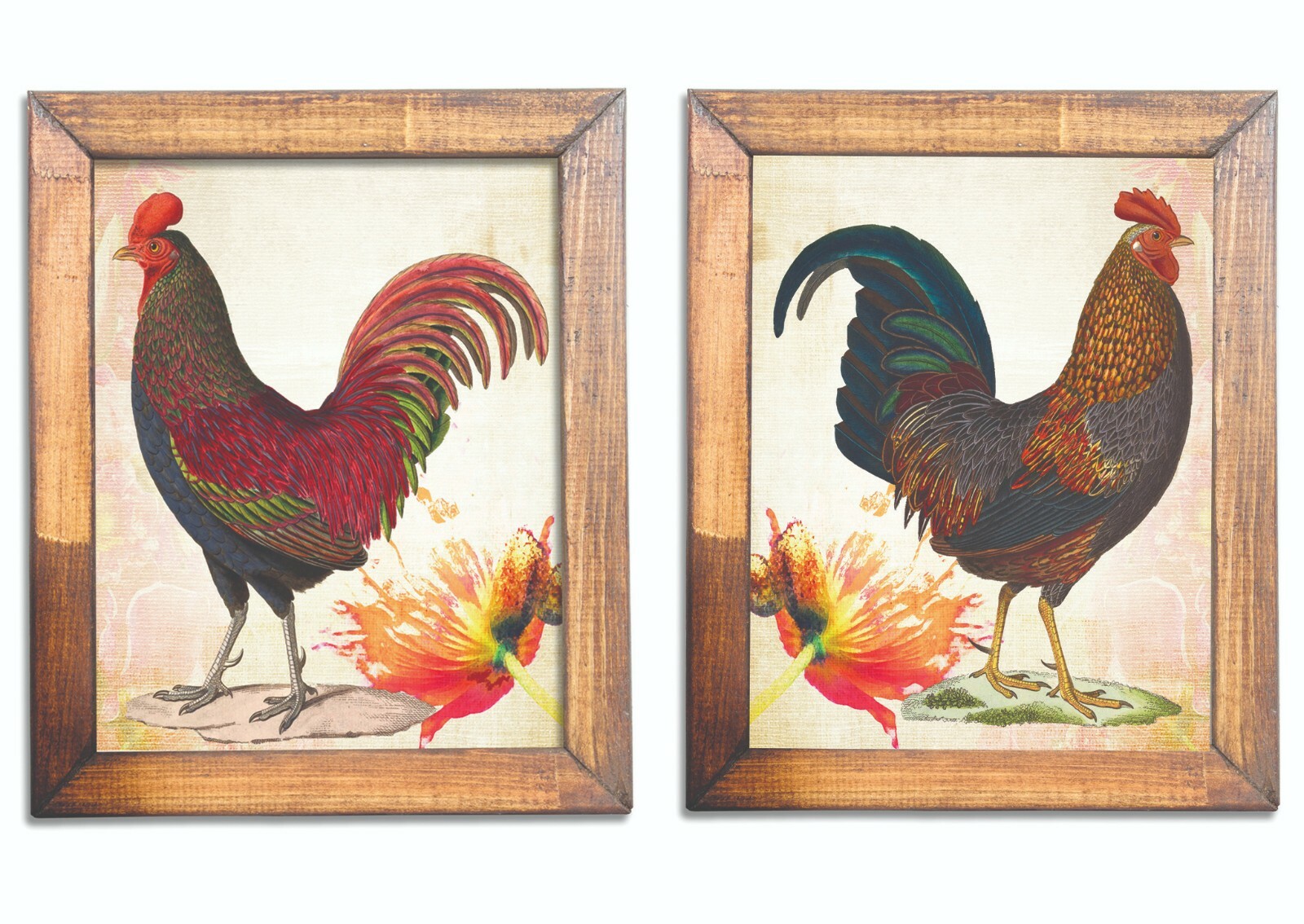 Antique Rooster Prints, Set Of 2 Prints, Each Size 8x10" Vintage ...