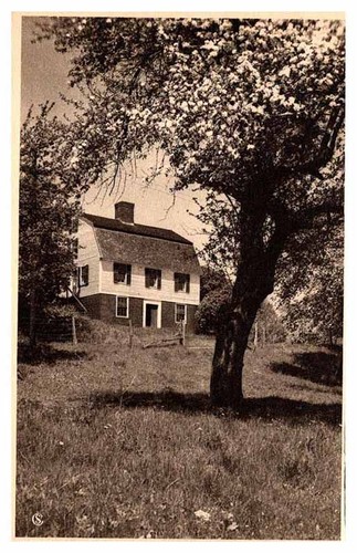 Postcard HOUSE SCENE State of Connecticut CT AS8835 | eBay