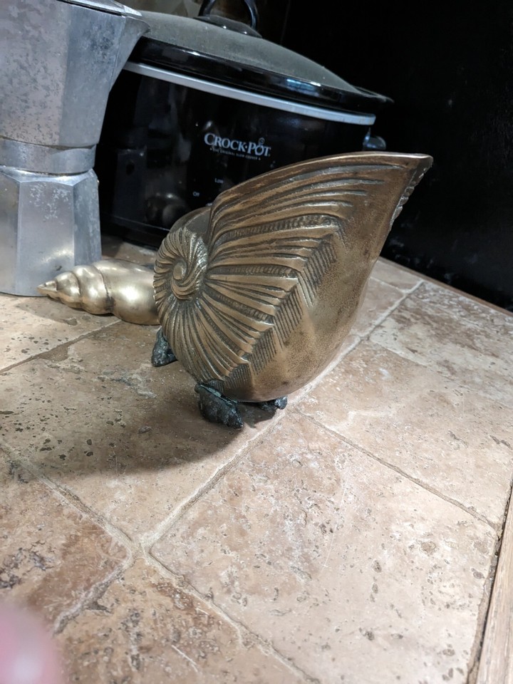 Vintage Solid Brass Nautilus Conch Shell Vase Unique Sea Shell | eBay