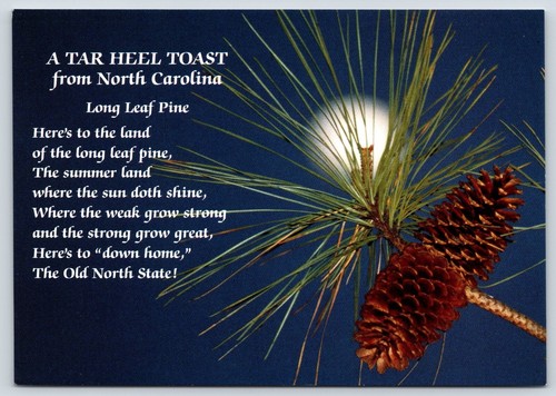Vintage Postcard Continental A Tar Heel Toast from North Carolina Long ...