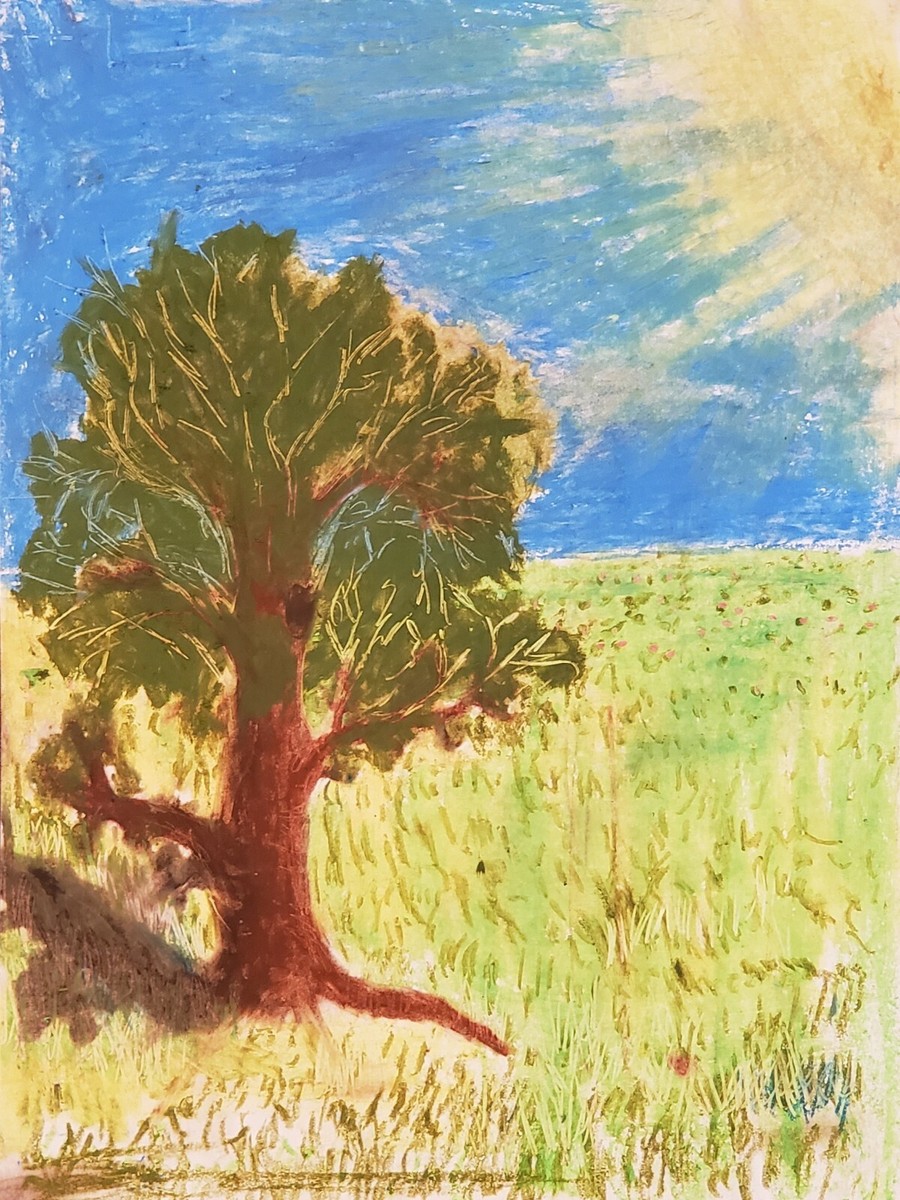 Oil Pastel Drawings Of Trees