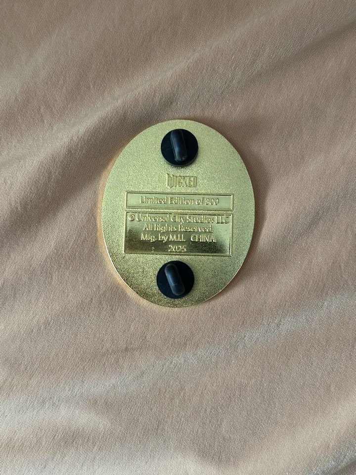 Wicked PALM Yellow Brick Road Cameo Pin Mystery Box - Tin Man LE 300 | eBay