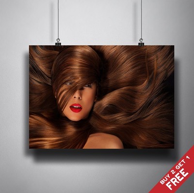 LONG BROWN HAIR POSTER A3 A4 * HAIRDRESSER HAIRSTYLE BEAUTY SALON ART ...