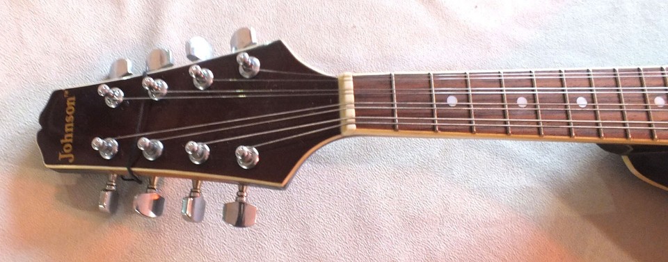 Nice Johnson Oval Hole Mandolin Model MA-100 | eBay