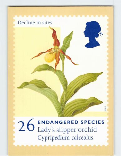 Postcard Endangered Species Lady's Slipper Orchid Stamp by Robert Maude ...