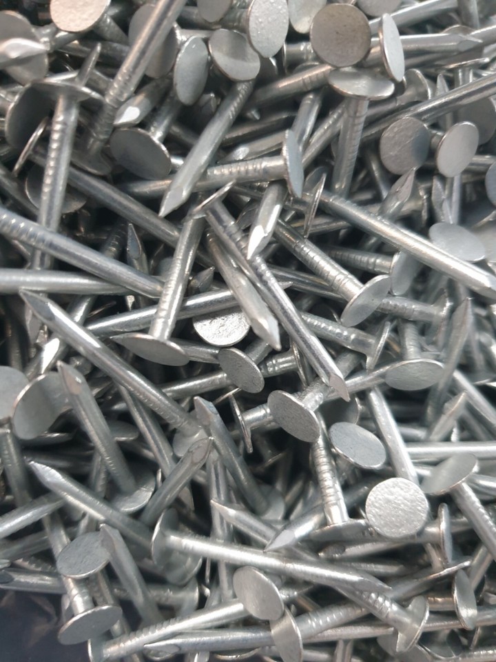 CLOUT ROOF SHED FELT NAILS Galvanised Sizes: 13 20 25 30 40 50 60 75mm ...