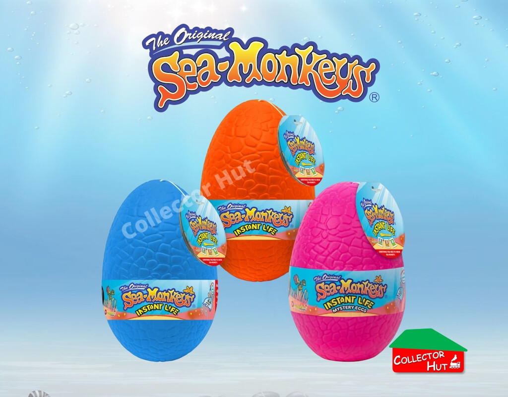 Sea Monkeys Eggs Day 2 Of Sea Monkeys Kit: Adding Live Eggs!