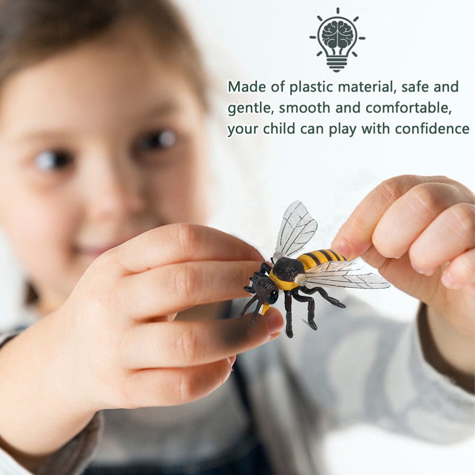 Ciclo Della Vita Api Ape Giocattoli Digitali Crescita Delle | eBay