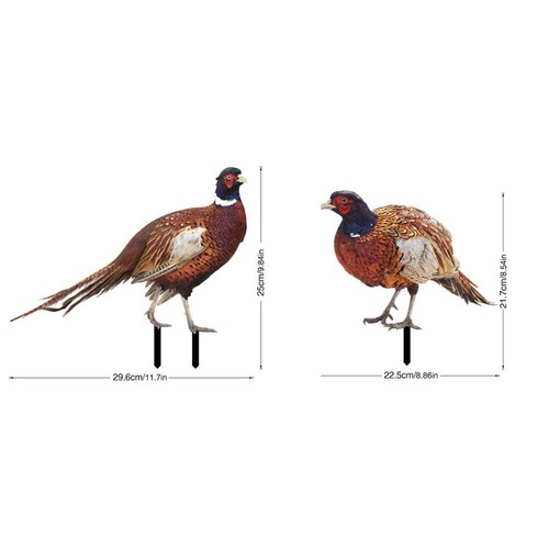 Set of 2 Chicken Garden Ornaments | Lifelike Pheasant Garden Stake ...