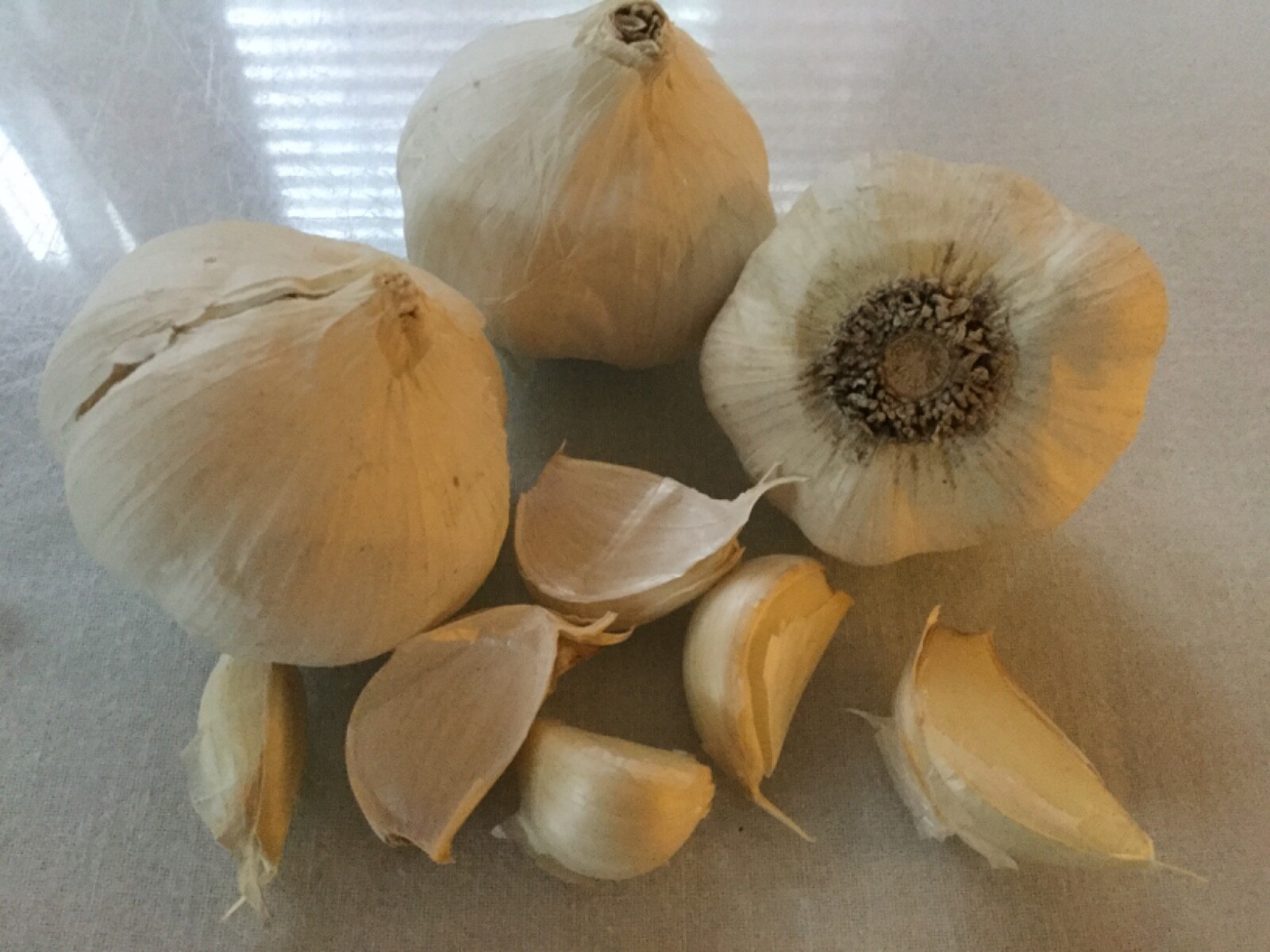 Garlic seeds - Solent wight variety - 10 cloves - plant Oct Onwards ...