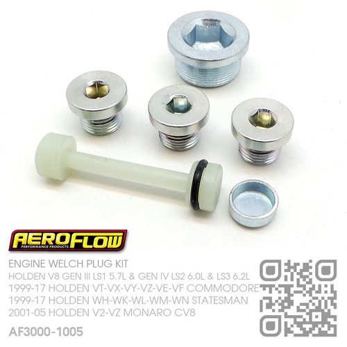 AEROFLOW ENGINE WELCH PLUG KIT V8 GEN IV LS2 6.0L [HOLDEN VZ-VE ...