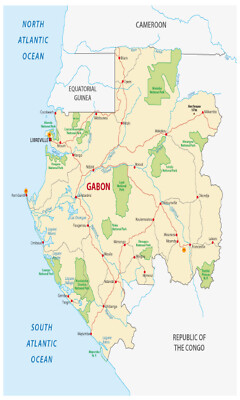 Laminated Gabon Road Map (120 x 200 cm) Poster | eBay Australia