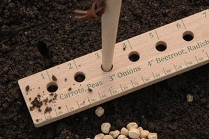 Seed and Plant Spacing Ruler Garden Hand Tool by Burgon and Ball 1m | eBay