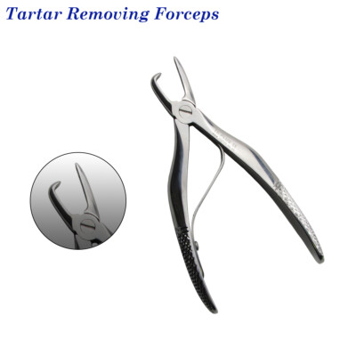 Tartar Removing Forceps-Extracting Forceps Dental Veterinary Instrument ...