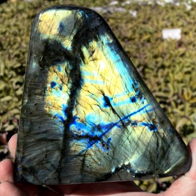 2.97LB Natural Gorgeous Labradorite Quartz Crystal Stone Specimen ...